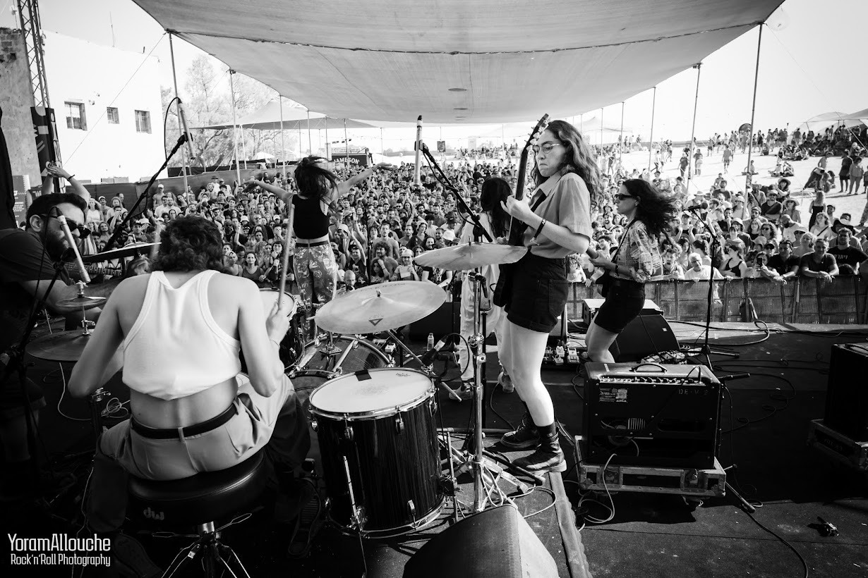 🐍 הזאבות חוזרות לעשן הזמן 🐍